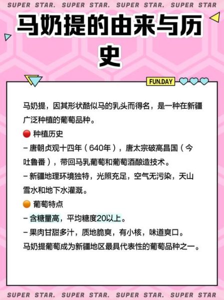 马奶提子是什么品种_马奶提子图片怎么辨别真假-第1张图片-山城妙识