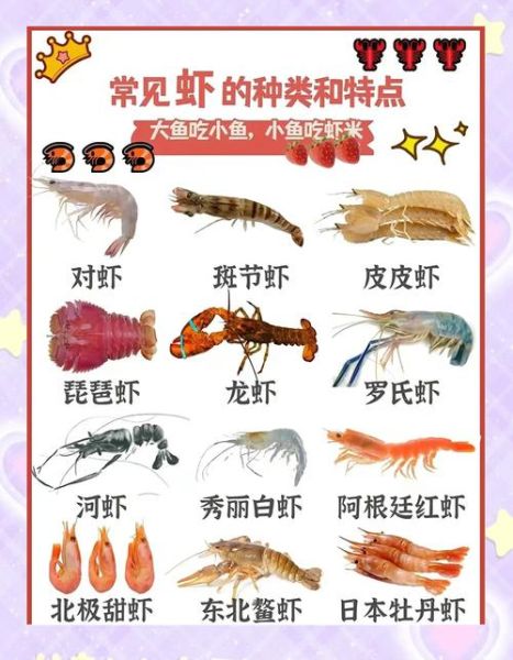 海虾和淡水虾的区别_哪个更好吃-第1张图片-山城妙识