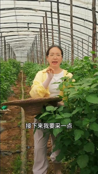 菜花叶子怎么做好吃_菜花叶子做法大全-第1张图片-山城妙识