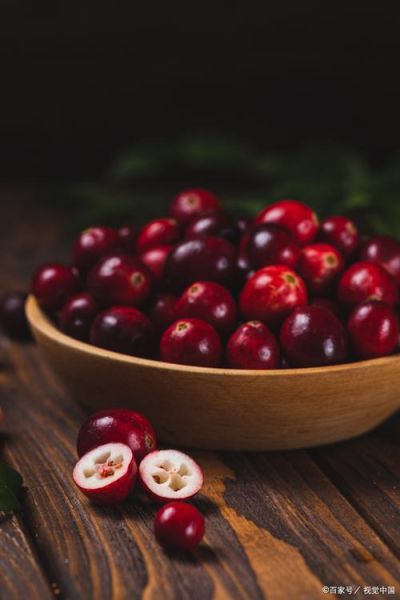 蔓越莓图片大全_如何挑选高清素材-第1张图片-山城妙识