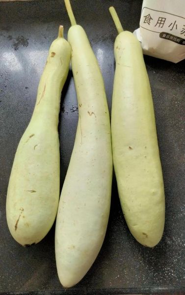 蒲瓜怎么做好吃_蒲瓜的家常做法大全-第2张图片-山城妙识