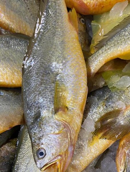 冻大黄花鱼怎么做好吃_冻黄花鱼解冻技巧-第2张图片-山城妙识