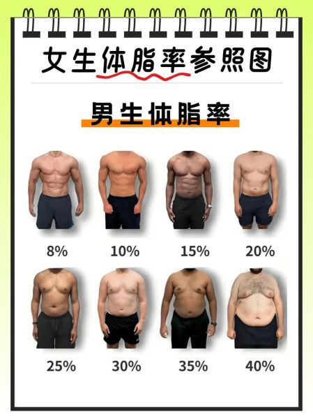 瘦身男女如何科学减脂_男女减脂差异在哪-第1张图片-山城妙识