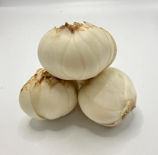 百合怎么吃最好_百合怎么吃好-第3张图片-山城妙识