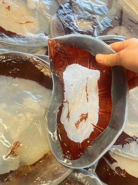 海蜇皮多少钱一斤_怎么挑选优质海蜇皮-第1张图片-山城妙识