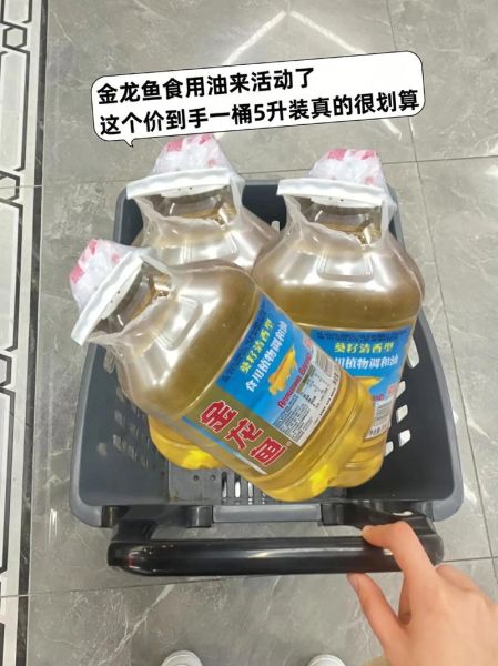 金龙鱼多少钱一条_金龙鱼价格影响因素-第3张图片-山城妙识