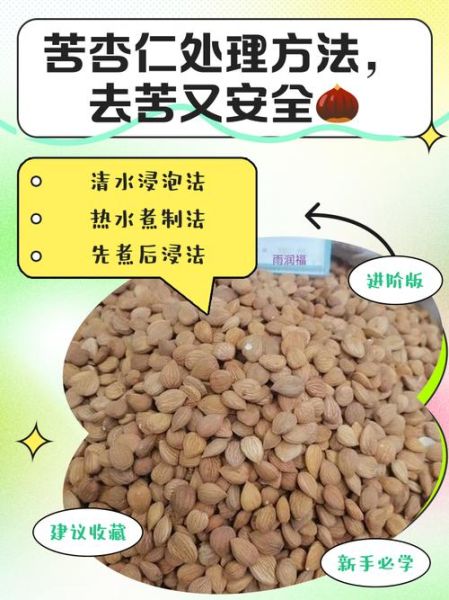 苦杏仁怎么腌制_苦杏仁腌制方法步骤-第2张图片-山城妙识