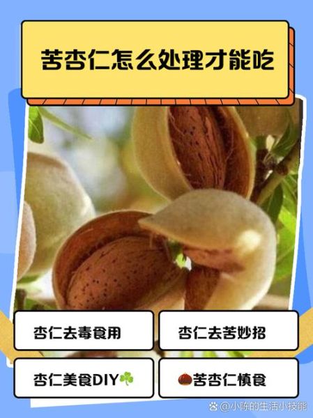 苦杏仁怎么腌制_苦杏仁腌制方法步骤-第3张图片-山城妙识