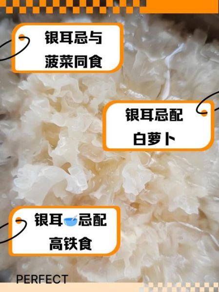 银耳禁忌人群_银耳不能和什么一起吃-第3张图片-山城妙识