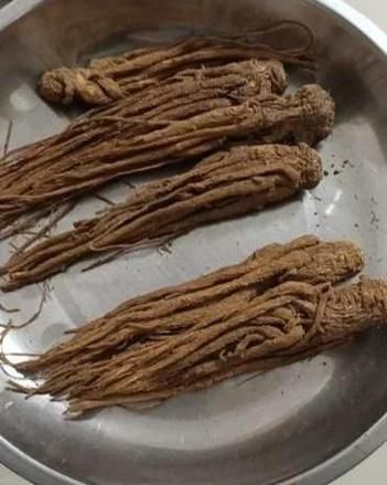 野当归图片_野当归和当归区别-第2张图片-山城妙识