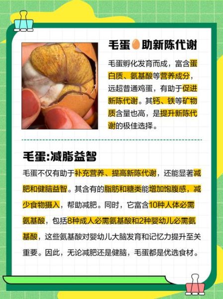 吃毛蛋的好处和危害有哪些_孕妇能吃毛蛋吗-第1张图片-山城妙识 吃毛蛋的好处和危害有哪些_孕妇能吃毛蛋吗-第1张图片-山城妙识