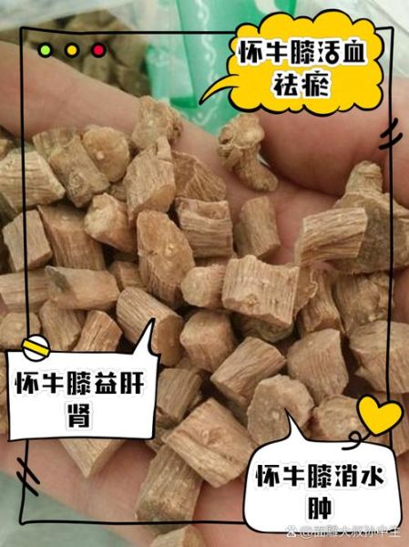 怀牛膝的功效与作用_怀牛膝适合什么人吃-第1张图片-山城妙识