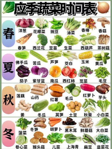 蔬菜有哪些种类名字_常见蔬菜分类大全-第2张图片-山城妙识