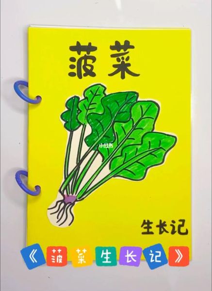 菠菜简笔画怎么画_菠菜简笔画步骤图-第1张图片-山城妙识
