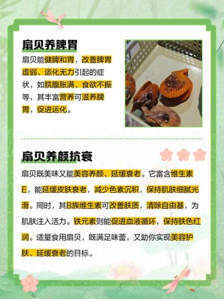 扇贝的营养价值及功效_扇贝怎么吃最营养-第1张图片-山城妙识