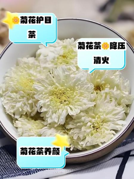 白菊花泡水喝的功效与禁忌_白菊花泡水能天天喝吗-第3张图片-山城妙识
