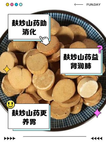 炒山药的功效与作用及禁忌_哪些人不能吃-第3张图片-山城妙识