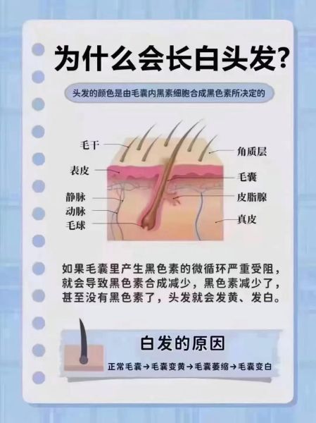 治白头发最有效的方法_白头发怎么调理变黑-第1张图片-山城妙识