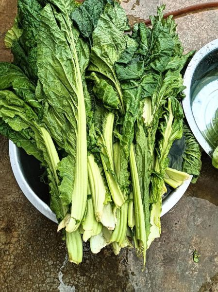 酸菜怎么吃最好吃_酸菜的家常做法大全-第3张图片-山城妙识