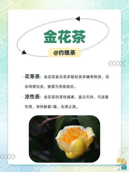 金花茶的功效与作用_金花茶怎么喝才养生-第3张图片-山城妙识