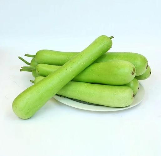 苦瓠瓜图片_苦瓠瓜能吃吗-第1张图片-山城妙识