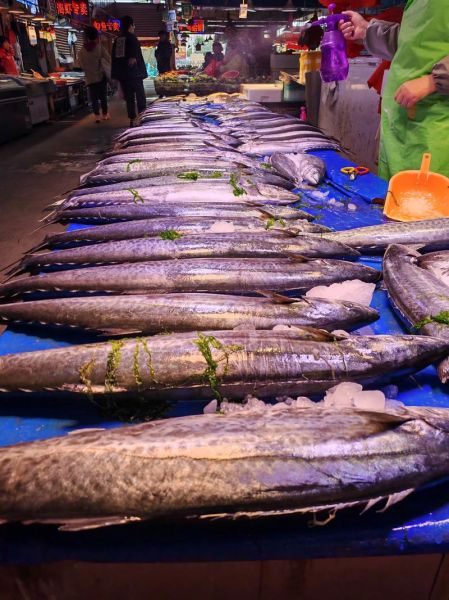 鲅鱼图片多少钱一斤_鲅鱼最新价格行情-第3张图片-山城妙识