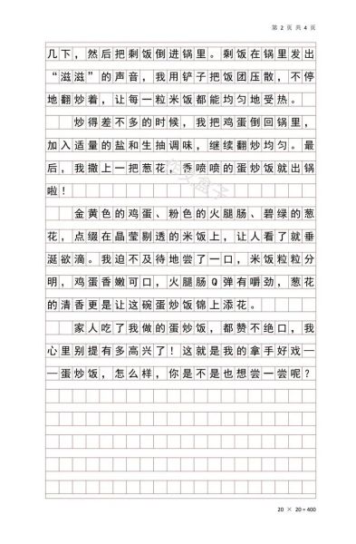 炒饭评价语100字通用_怎么写才走心-第2张图片-山城妙识