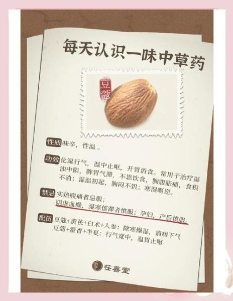 白豆蔻的功效与作用及禁忌_白豆蔻什么人不能吃-第2张图片-山城妙识