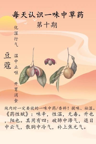 白豆蔻的功效与作用及禁忌_白豆蔻什么人不能吃-第3张图片-山城妙识