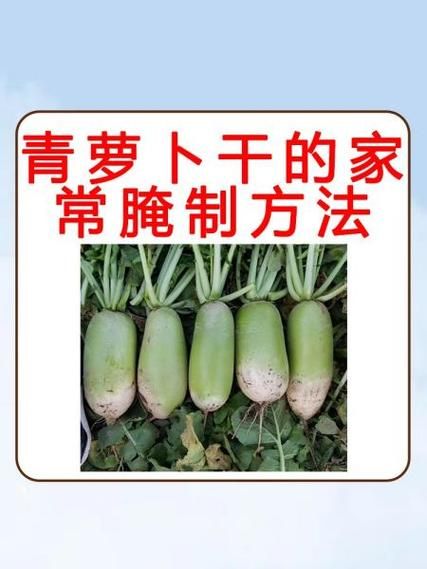 青萝卜干怎么腌制_青萝卜干腌制方法大全-第2张图片-山城妙识