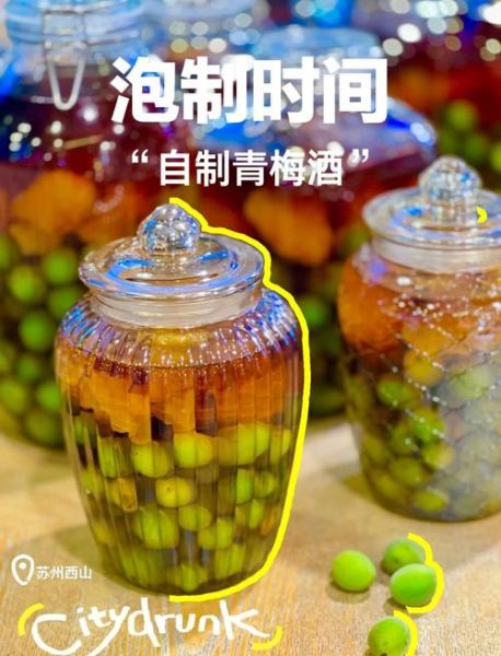 青梅酒的功效与作用及禁忌_青梅酒可以每天喝吗-第2张图片-山城妙识