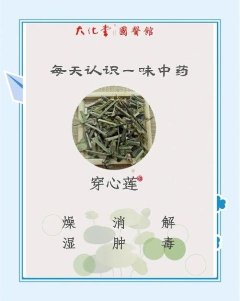 穿心莲片治什么病_穿心莲片功效与作用-第1张图片-山城妙识