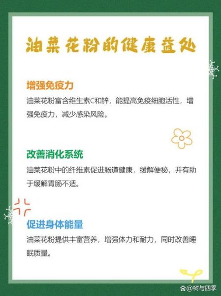 破壁油菜花粉的功效与作用_适合什么人吃-第1张图片-山城妙识 破壁油菜花粉的功效与作用_适合什么人吃-第1张图片-山城妙识