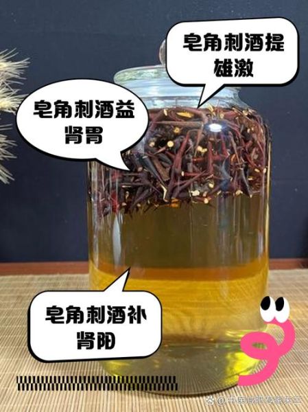 皂角刺的功效与作用_皂角刺能治疗哪些病-第3张图片-山城妙识
