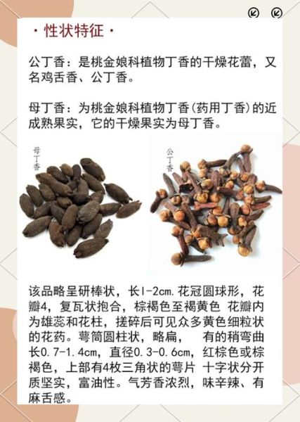 丁香的功效与作用及禁忌_丁香泡水喝有什么禁忌-第1张图片-山城妙识