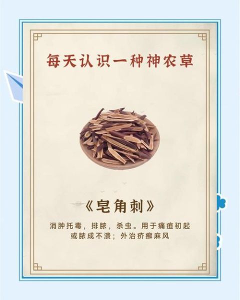 皂角刺的功效与作用_皂角刺能治疗哪些病-第1张图片-山城妙识