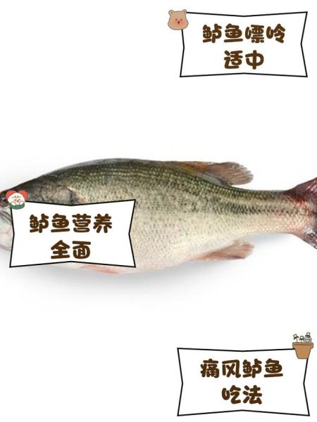 淡水鲈鱼怎么钓_淡水鲈鱼吃什么-第2张图片-山城妙识