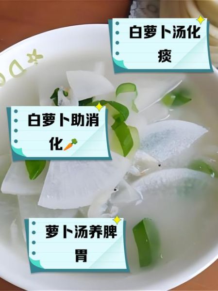 素炖白萝卜汤怎么做_素炖白萝卜汤的功效-第1张图片-山城妙识