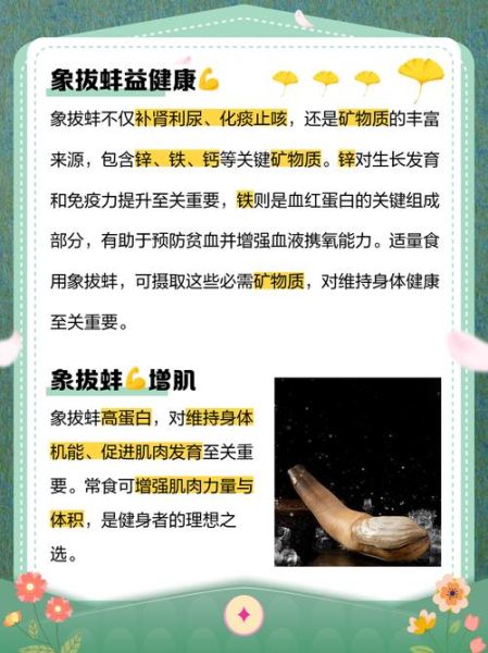 象拔蚌的营养价值及功效与作用_象拔蚌怎么吃最补-第1张图片-山城妙识