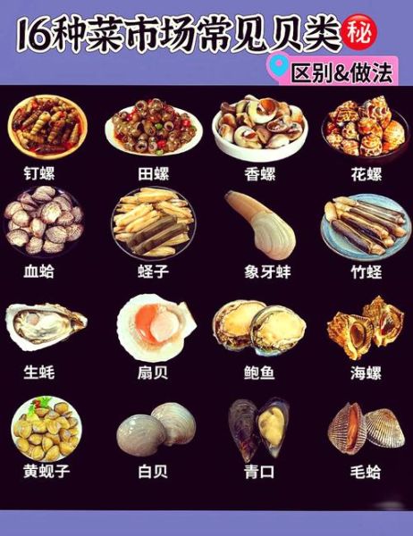 贝壳种类及名称图片_如何快速识别常见贝壳-第2张图片-山城妙识