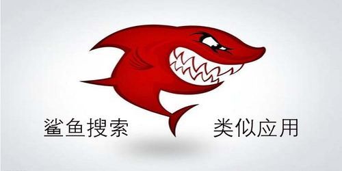 鲨鱼搜索怎么用_鲨鱼搜索安全吗-第3张图片-山城妙识