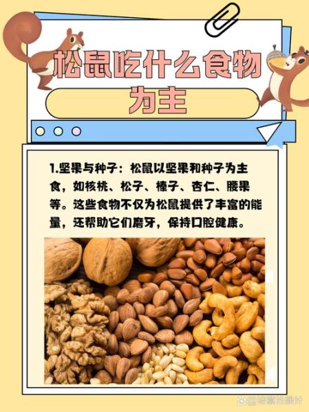 哪些食物属于坚果类_坚果类食物有哪些-第3张图片-山城妙识