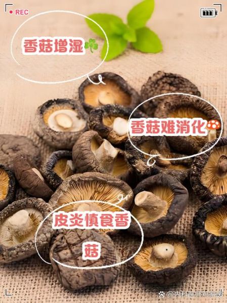 香菇不能和什么一起吃_香菇的禁忌人群有哪些-第3张图片-山城妙识