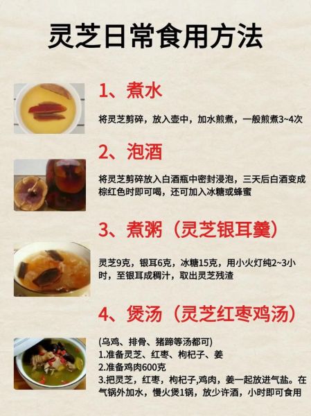 野生灵芝怎么吃_野生灵芝的正确吃法-第2张图片-山城妙识