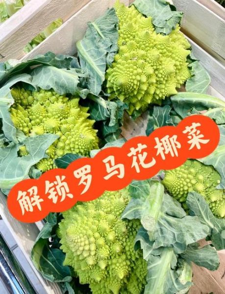 罗马花椰菜怎么做好吃_罗马花椰菜做法大全-第1张图片-山城妙识