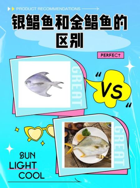 金鲳鱼是什么鱼_金鲳鱼与银鲳区别-第1张图片-山城妙识