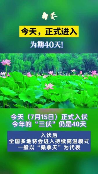 小暑是入伏的头一天吗_入伏从哪天算起-第2张图片-山城妙识