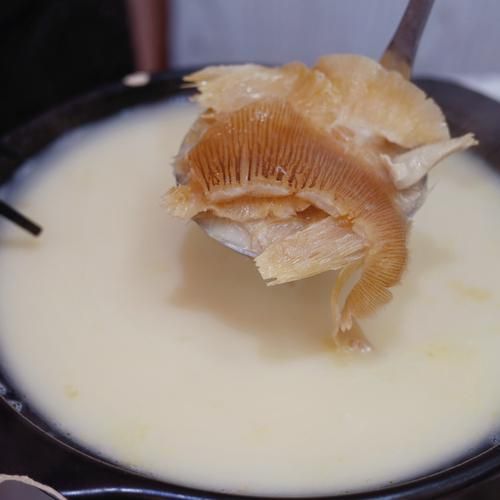 祖庵鱼翅是香菜吗_祖庵鱼翅里面有没有香菜-第2张图片-山城妙识