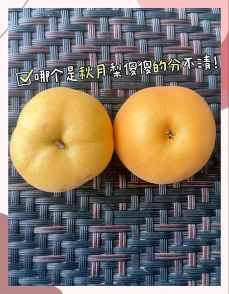 丰水梨的功效与作用_丰水梨怎么吃润肺止咳-第1张图片-山城妙识