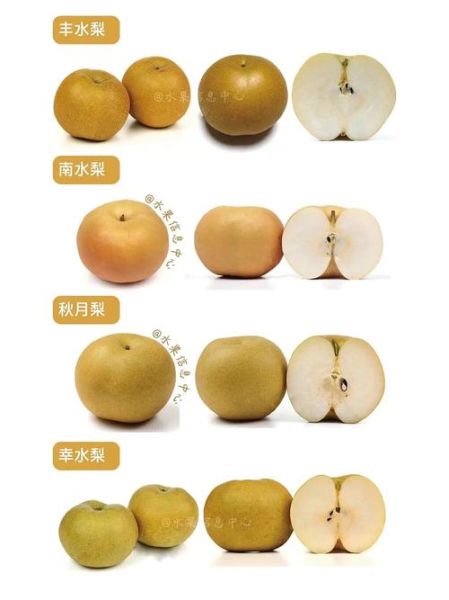 丰水梨的功效与作用_丰水梨怎么吃润肺止咳-第2张图片-山城妙识